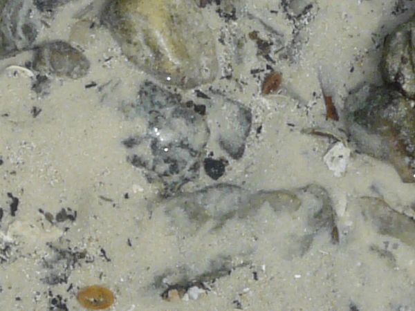 rough stone texture 0053 - Texturelib